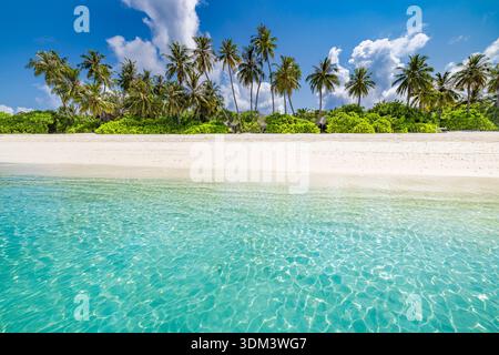 Stunning tropical island panorama with turquoise ocean harbor and palm ...