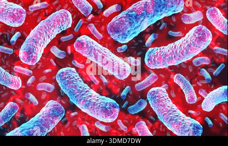 Bacteria food outbreak and bacterial infection as a microscopic ...