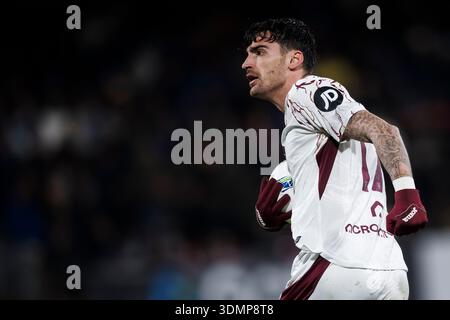 Sandro Kulenovic of Torino FC celebrates after scoring a goal during ...