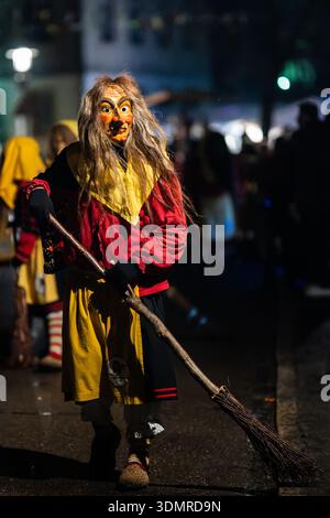 06 February 2026, Baden-Württemberg, Irslingen: The jesters of the ...