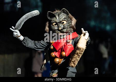 06 February 2026, Baden-Württemberg, Irslingen: The jesters of the ...