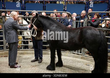 King Charles III views Pearl, the Fell pony during his visit to ...