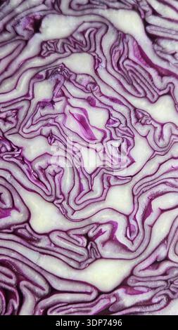 Purple cabbage macro abstract background. Creative composition in the ...