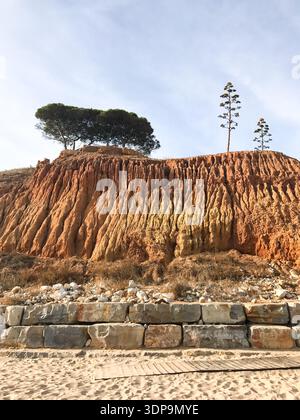 A dramatic coastal landscape showing steep green cliffs topped with ...