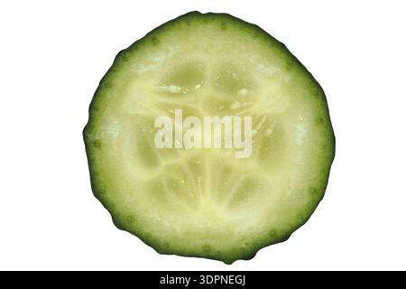 Sliced cucumber isolated on white background with full depth of field ...