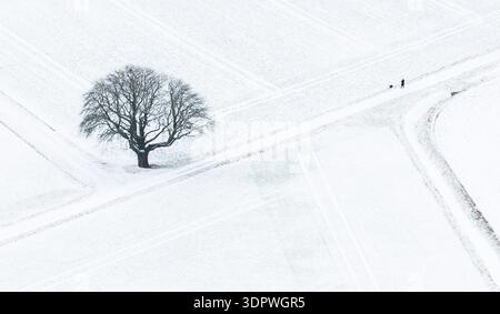 16 February 2026, Lower Saxony, Pattensen: A light blanket of snow ...