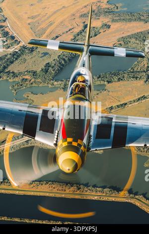 A P-51 Mustang, powered by a Packard V-1650 Merlin V12 piston engine ...