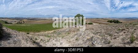 Wide panoramic view of archaeological ruins and grassy field at ...