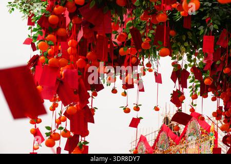View of Lam Tsuen Wishing Tree on February 17, 2026 in Tai Po, New ...