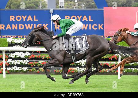 Sydney,Australia. 14 February, 2026. Jamberoo in the Wellington Racing ...