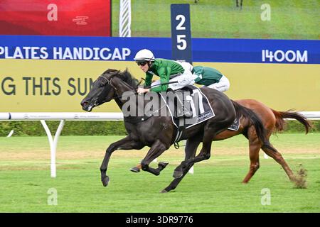 Sydney,Australia. 14 February, 2026. Jamberoo in the Wellington Racing ...