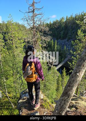 Explore the serene beauty of a forest trail covered in fallen leaves ...