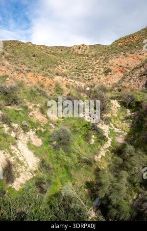 Landscape in the Almanzora Valley, Spain Stock Photo - Alamy