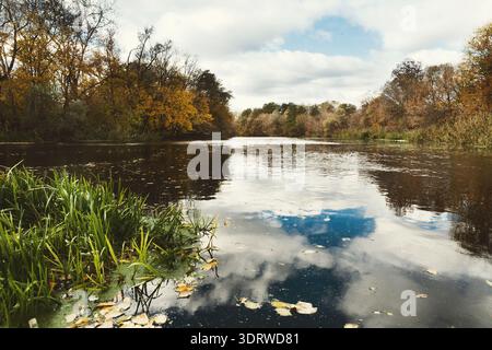 Collage of Autumn Landscape Showing Trees and Open Field Under Cloudy ...