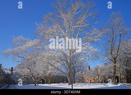 PRINCETON, NJ -19 JAN 2026- View of the campus of Princeton University ...