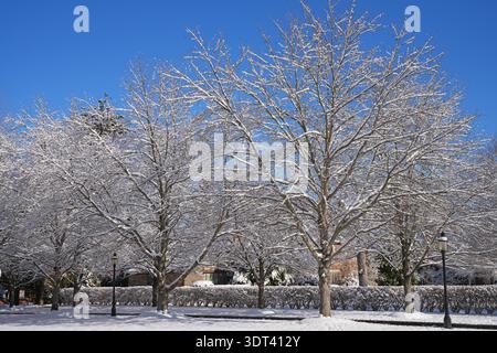 PRINCETON, NJ -19 JAN 2026- View of the campus of Princeton University ...
