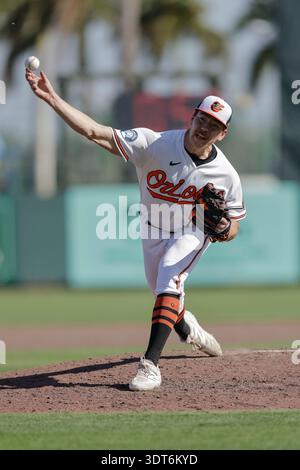 Baltimore Orioles pitcher Trey Gibson throws during the first inning of ...
