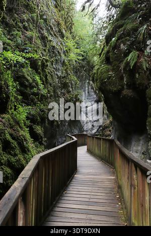 Horma Canyon, Kure Mountains National Park, Kastamonu, Turkey. Wooden ...