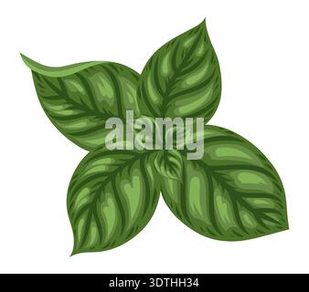 basil leaf green cartoon vector illustration Stock Vector Image & Art ...