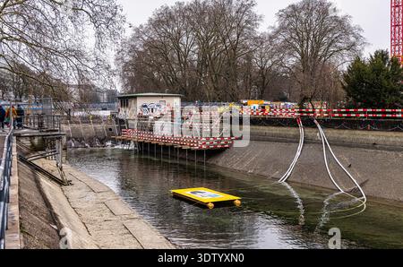 Zürich, Switzerland, 31st Jan 2026: The Platzspitz weir is currently ...