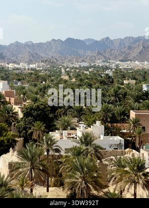 Traditional falaj irrigation channel flowing through a lush date palm ...