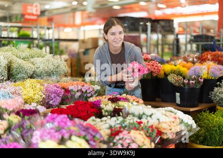 Female customer chooses a bouquet of carnations in flower shop Stock ...