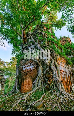 Cambodia, Koh Ker, former Khmer capital in X century under Jayavarman ...