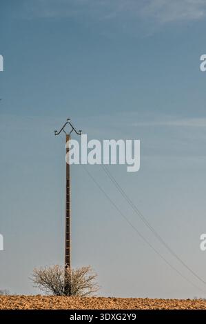 Large electrical distribution power lines and support poles Stock Photo ...
