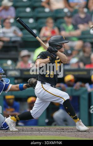 Pittsburgh Pirates' Jake Mangum, left, Billy Cook (25) and Esmerlyn ...
