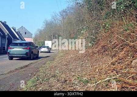 Sicherheit an Straßenrändern Zurückgeschnittene Vegetation zur ...