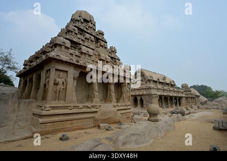 Bhima Ratha a monument in the Pancha Rathas complex at Mahabalipuram ...