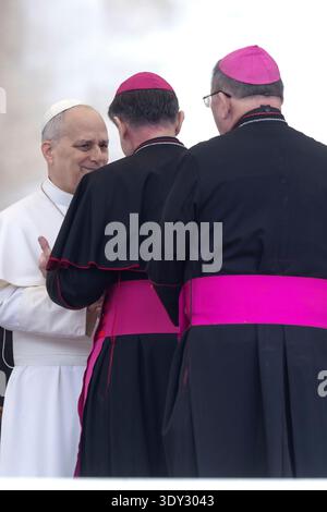 Pope Leo XIV greets the bishops during his weekly general audience at ...