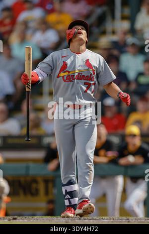 St. Louis Cardinals' JJ Wetherholt reacts after driving in the game ...