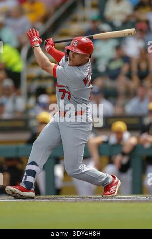 St. Louis Cardinals' JJ Wetherholt fields a ground ball during a ...