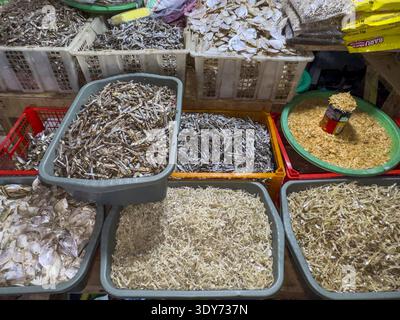 Various types of fresh fish are displayed on multiple metal trays at a ...