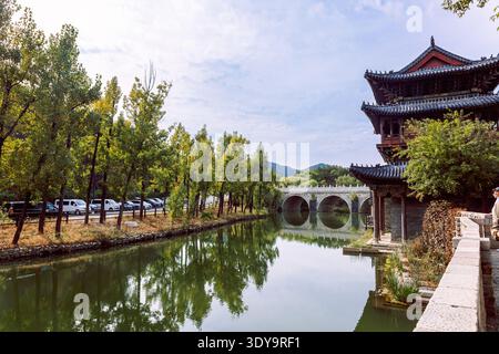 A serene walkway beside a canal is lined with tall trees under a ...