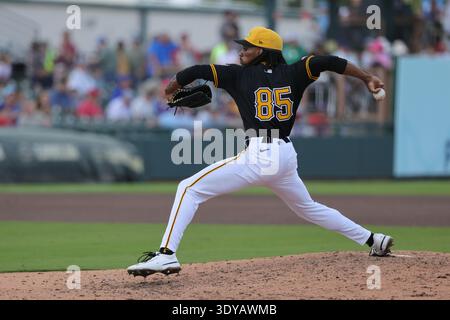 Pittsburgh Pirates outfielder Esmerlyn Valdez warms up before a ...