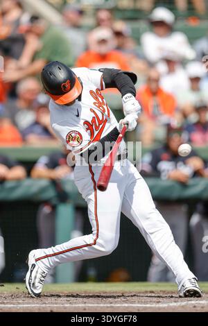 Minnesota Twins shortstop Ryan Kreidler during a baseball game Saturday ...