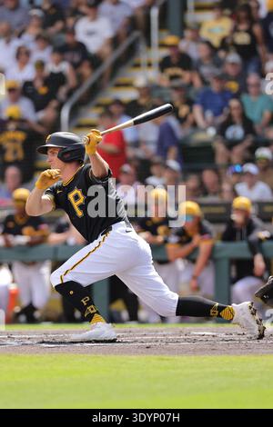 Pittsburgh Pirates' Jake Mangum (28) reacts after getting hit by a ...