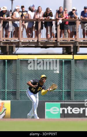 Pittsburgh Pirates outfielder Esmerlyn Valdez warms up before a ...