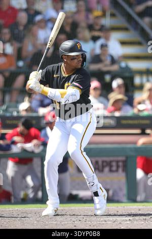 Pittsburgh Pirates outfielder Esmerlyn Valdez warms up before a ...