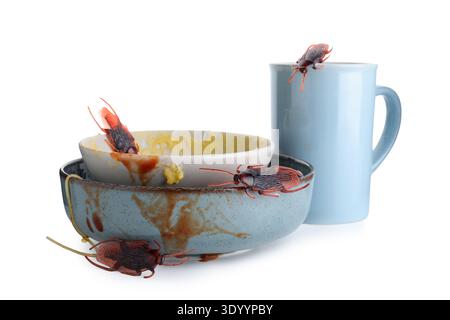 Dirty dishes with cockroaches isolated on white background Stock Photo ...