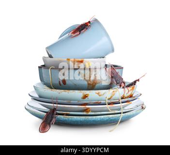Dirty dishes with cockroaches isolated on white background Stock Photo ...