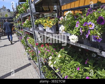 transportation of goods in logistics, management of resources and ...