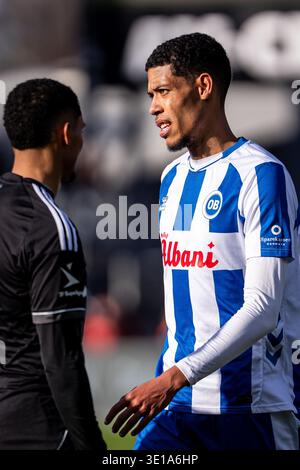 Odense, Denmark. 15th Mar, 2026. Jacob Neestrup coaches from FCK. OB ...