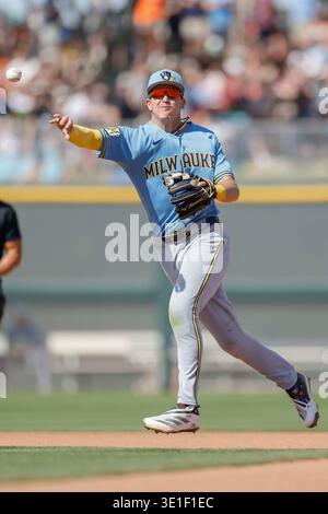 Milwaukee Brewers' Cooper Pratt at bat during the eighth inning of a ...