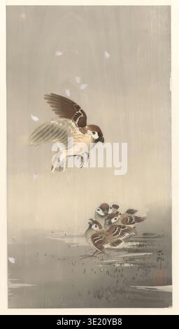 Ohara Koson – Tree Sparrow on a Scarecrow (Ringmus op vogelverschrikker ...