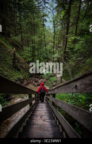 Am Wanderweg in der Klamm Themenbild Natur, Wanderung durch die ...