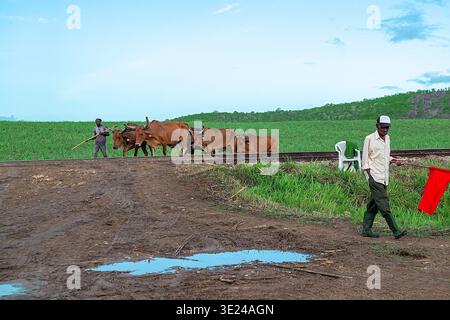 Dominican Republic, La Romana - 08 Jun 2021: Two men in hats and boots ...