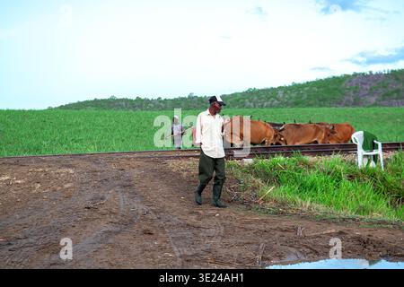 Dominican Republic, La Romana - 08 Jun 2021: Two men in hats and boots ...
